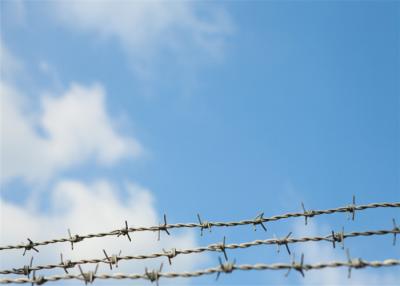 China Anti - Climb Wall Spike Security Barbed Wire , Iron Wire Razor Barbed Tape for sale