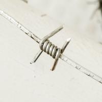 China Anti - Climb Wall Spike Security Barbed Wire , Iron Wire Razor Barbed Tape for sale