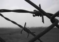 China Anti - Climb 14×14 Guage Security Barbed Wire Hot Dipped Galvanized On Fence Top for sale
