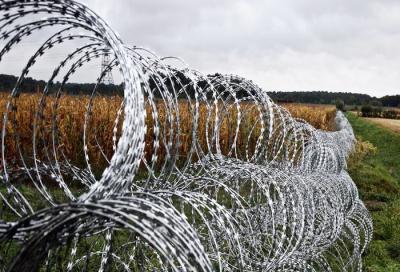 China Double Concertina Razor Wire , Concertina Wire Fencing For Fence And Isolation for sale