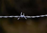 China Fences for farm barbed wire type protect animals sucurity fence for sale