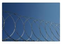 China Flat Wrap Coiled Razor Wire Hdg Hot Dipped Galvanized For Security Barrier for sale