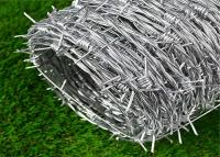 China High Tensile Security Barbed Wire Zinc Coating Keep Away Cattle Prohibit Crossing for sale