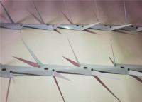China White Color Wall Security Spikes Small Size 6cm Sharp Metal Razor Spikes for sale