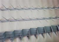 China White Color Wall Security Spikes Small Size 6cm Sharp Metal Razor Spikes for sale