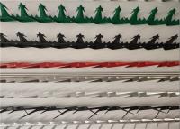 China High Grade Anti Climb Razor Wall Security Spikes For Perimeter Fence And Wall for sale