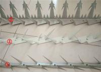 China Anti - Climb Razor Wall Security Spikes , Garden Fence Security Spikes for sale