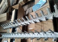 China Anti - Climb Razor Wall Security Spikes , Garden Fence Security Spikes for sale