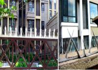 China Galvanized Steel Razor Barbed Wire Anti Climb Wall Spikes Wooden Box Packing for sale