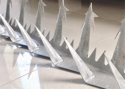 China Perimeter Security Anti Climb Spikes Razor Wire With Spikes Keep Thieves At Bay for sale