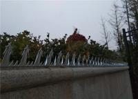 China Perimeter Security Anti Climb Spikes Razor Wire With Spikes Keep Thieves At Bay for sale