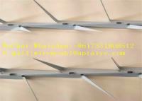 China White Color Small Size Razor Wall Spikes Used On Wall Exported To Sweden for sale