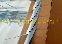 China White Color Small Size Razor Wall Spikes Used On Wall Exported To Sweden for sale