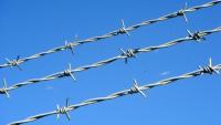 China Silver Electric Galvanized Security Barbed Wire Low Carbon Steel BWG 12 14 16 for sale