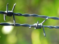 China Silver Electric Galvanized Security Barbed Wire Low Carbon Steel BWG 12 14 16 for sale