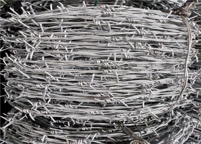 China Tata Zinc Coated Security Barbed Wire For Fencing , Prison Barbed Wire for sale