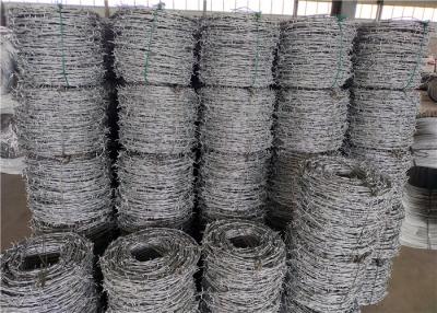 China Price Meter Security Barbed Wire In Egypt Zinc Coated 15kg / Coil Weight for sale