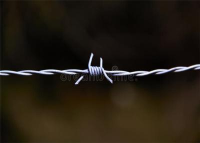 China Double Twist Security Barbed Wire Two Line Wires Together Barbs Attached for sale