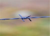China Zinc Coated High Tensile Security Razor Wire 2 & 4 Point 50kg Hot Dipped for sale