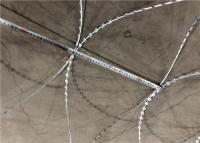 China 10 Kg / Coil Concertina Razor Barbed Wire With Different Blade Wire for sale