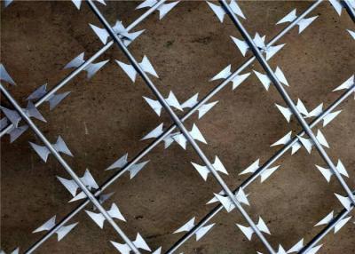 China Galvanized Welded Razor Wire Mesh Fence , Razor Wire Fence With Diamond Hole Shape for sale