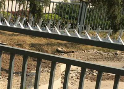 China Galvanized Razor Wall Security Spikes , Burglar Proof Fence Spikes For Perimeter for sale