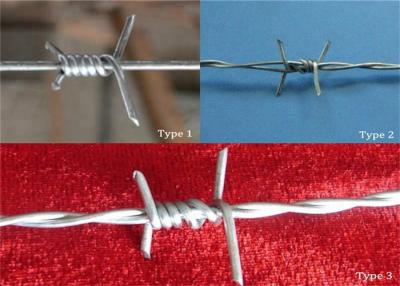 China 16*16 Double Strand Barbed Wire Coil For Security Fence , High Tensile for sale