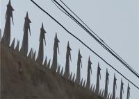 China 1.25m Length Razor Anti Wall Climbing Spikes Use On Fence And Wall for sale