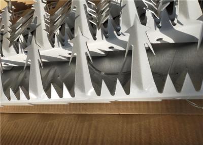 China Powder Coated Rail Spikes Or Wall Security Spikes Attractive Alternative To Razor Wire for sale
