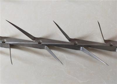 China Small Size Boundary Wall Spikes , Anti Climb Fence Spikes Stainless Steel for sale