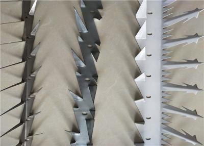 China Anti Climb Wall Security Spikes , Razor Fence Spikes Large Medium Small Size for sale