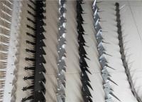 China Anti Climb Fence Wall Security Spikes Galvanized Razor Spike Razor Tape Wire for sale
