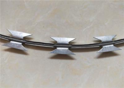 China Spiral Unclipped Razor Sharp Wire Single Loop Wall Spikes Hardened Steel Strip for sale