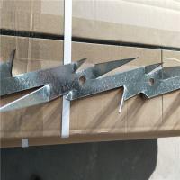 China Hot Dipped Galvanized Anti Climb Spikes Rooftop Razor Spikes For Security for sale