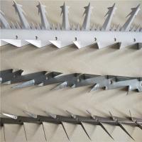 China Hot Dipped Galvanized Anti Climb Spikes Rooftop Razor Spikes For Security for sale