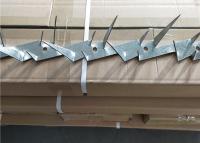 China Hot Dipped Galvanized Anti Climb Spikes Rooftop Razor Spikes For Security for sale