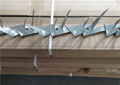 China Hot Dipped Galvanized Anti Climb Spikes Rooftop Razor Spikes For Security for sale