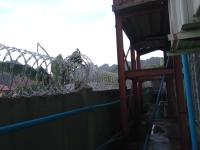 China Hot Dipped Galvanized Concertina Razor Barbed Wire Ribbion Fence CBT - 60 for sale