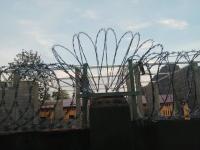 China Hot Dipped Galvanized Concertina Razor Barbed Wire Ribbion Fence CBT - 60 for sale
