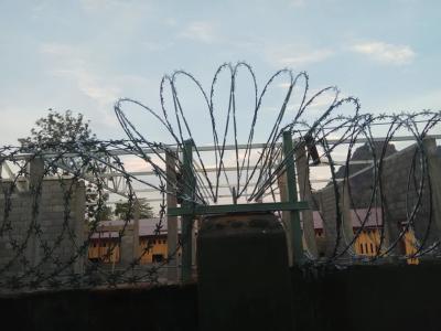 China Hot Dipped Galvanized Concertina Razor Barbed Wire Ribbion Fence CBT - 60 for sale