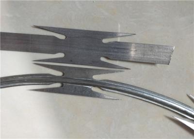 China Double Concertina Twisted Barbed Wire CBT-65 Clipping Razor Coils Spiral Coils for sale