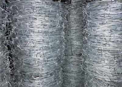 China Price Per Roll Galvanized Security Barbed Wire For Farm Fence for sale