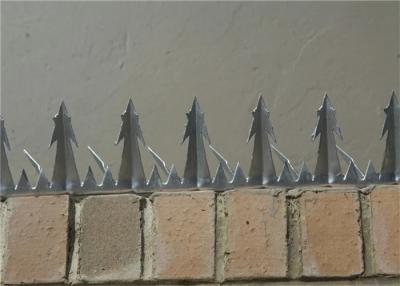China Steel ISO Certified Anti Climb Fence Spikes Security Metal Wall Spikes for sale