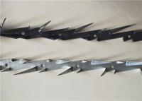 China Medium Size Steel Wall Spikes Hot Dipped Galvanized Or Black Powder Coated for sale