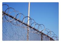 China Anti Climb Mesh BTO-22 Single Razor Concertina Barbed Wire for sale