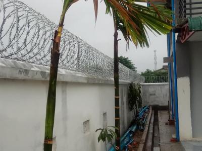 China Cbt-60 Concertina Galvanized Razor Barbed Tape Wire for sale