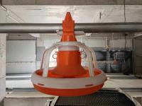 China Silver Round Poultry Nutrition Basin Easy to Clean for sale