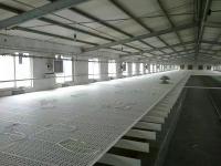 China Lightweight Chicken House Floor Slats Plastic Slats For Poultry Houses for sale