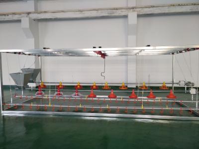 China Broiler Automatic Chicken Feeder System Using Microcontroller for sale