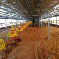 China Feed system of chicken farm complete feed line water line chicken house pig farm automatic feeder feed line equipment for sale